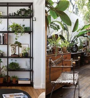 Kadisco Asian Paints